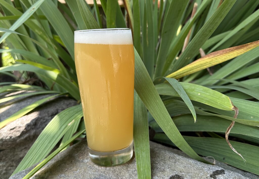 Combs-a-licious - new england ipa | Noblebräu Brewing